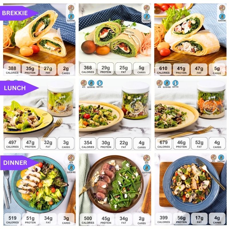 KETO SAMPLE / 3-DAY PACK – Papagaio Health Kitchen